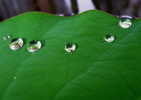 NASA, coatings and the lotus leaf phenomenon
